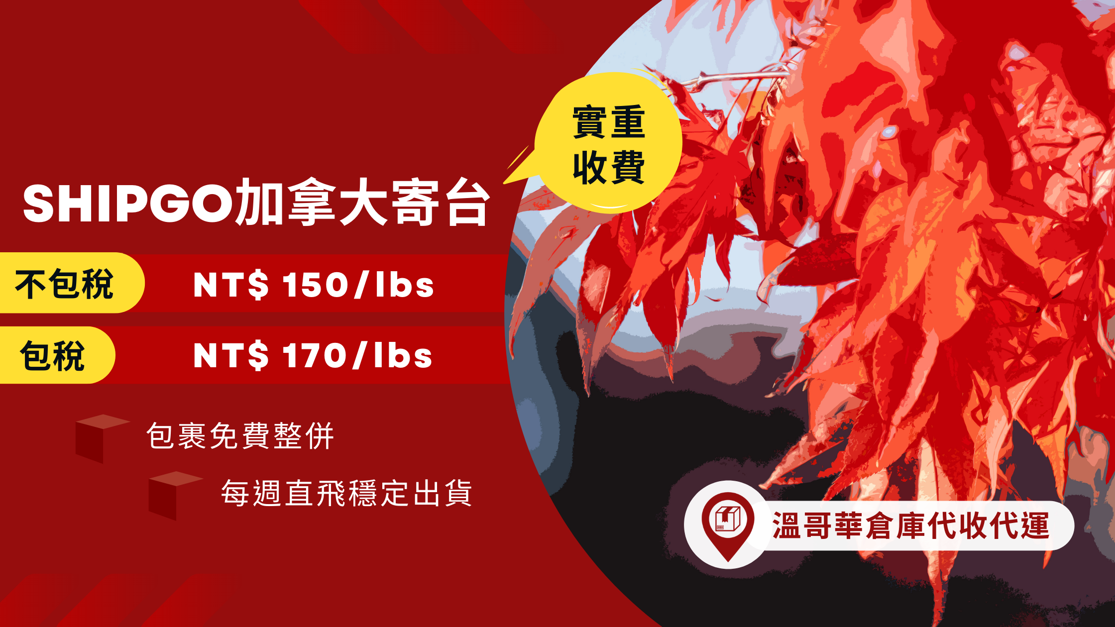 各國收費及試算｜Shipgo國際集貨代運